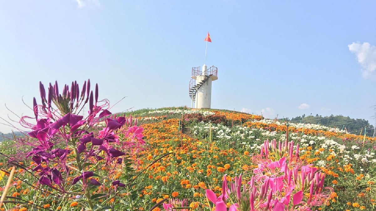 Tận Hưởng Thư Giãn Tại Khu Du Lịch Pha Đin Pass Điện Biên | Bdatrip ...