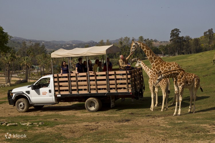Thing To Do In Safari Park | BDATrip